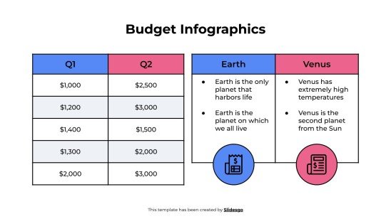 Budget Infographics Template