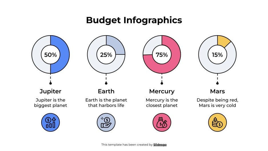 Budget Infographics Template