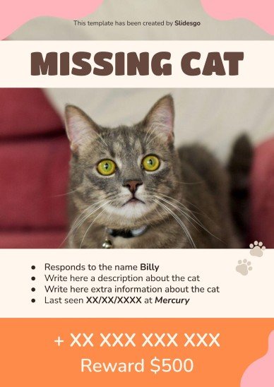 Printable Missing Cat Poster Presentation