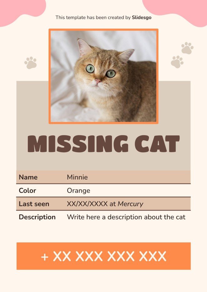 Printable Missing Cat Poster Presentation