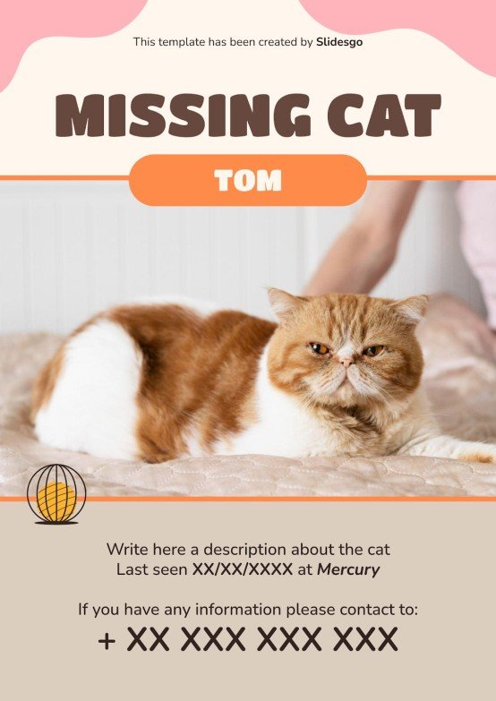 Printable Missing Cat Poster Presentation