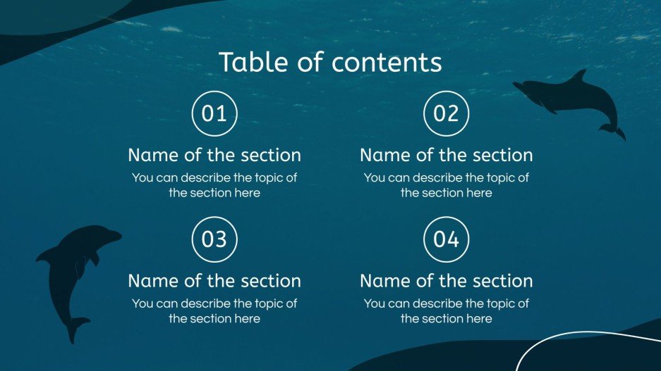 Dolphin Intelligence and Cognition Presentation