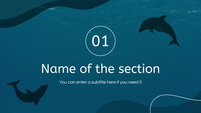 Dolphin Intelligence and Cognition Presentation