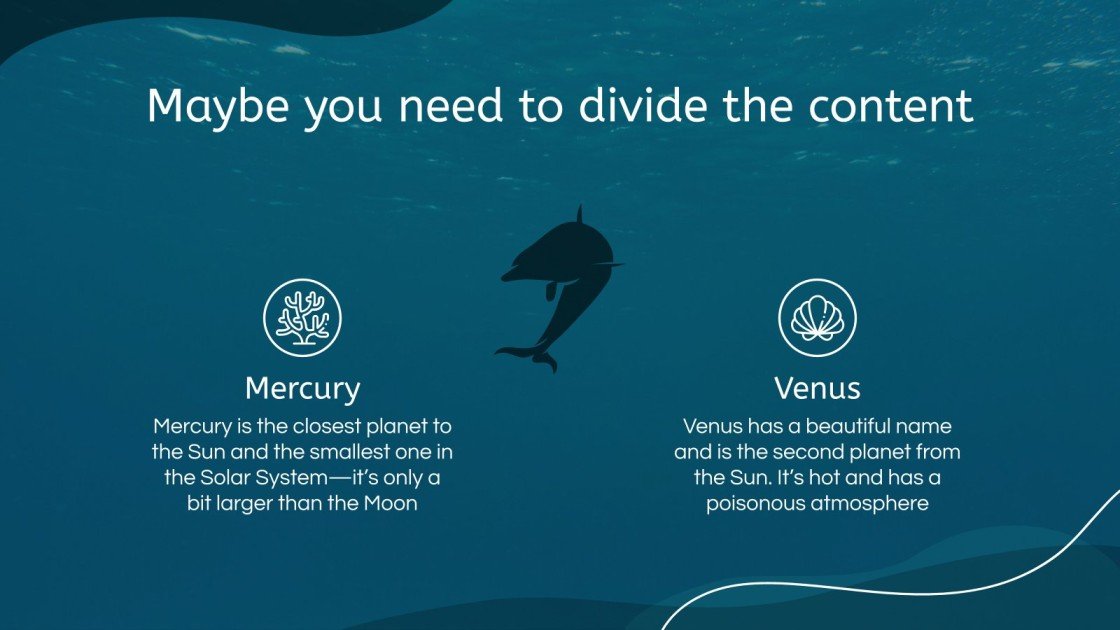 Dolphin Intelligence and Cognition Presentation