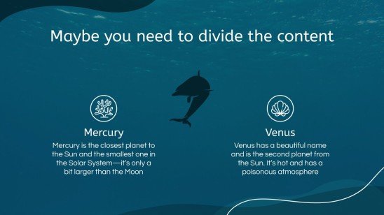 Dolphin Intelligence and Cognition Presentation