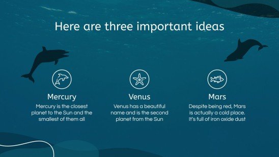 Dolphin Intelligence and Cognition Presentation