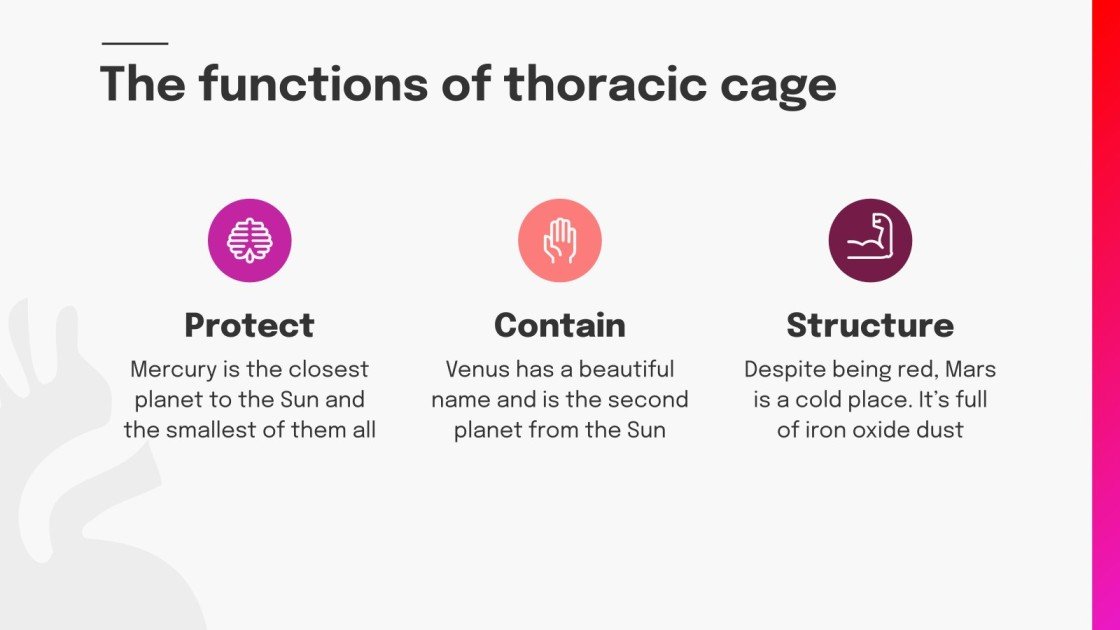 Biology Subject for High School: Thoracic cage Presentation