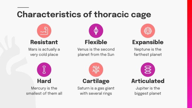 Biology Subject for High School: Thoracic cage Presentation