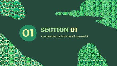 Snake Pattern Minitheme Presentation