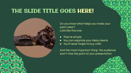Snake Pattern Minitheme Presentation