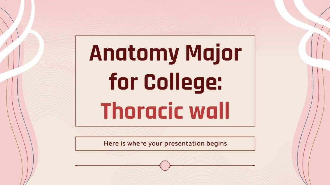 Anatomy Major for College: Thoracic wall Presentation