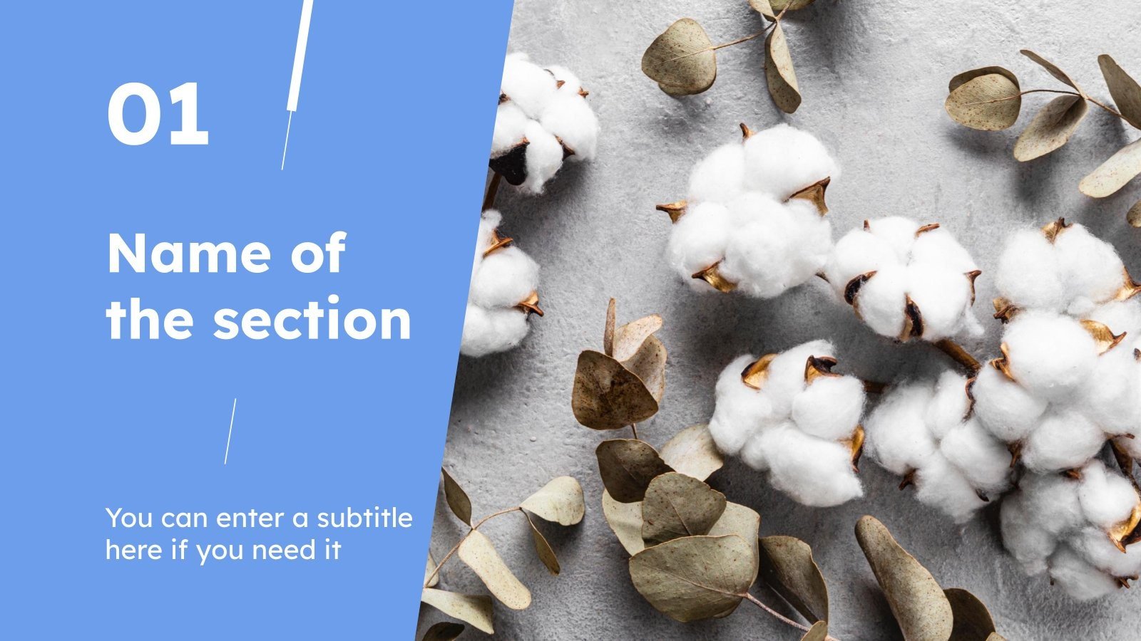 Flexible Textiles Minitheme Presentation