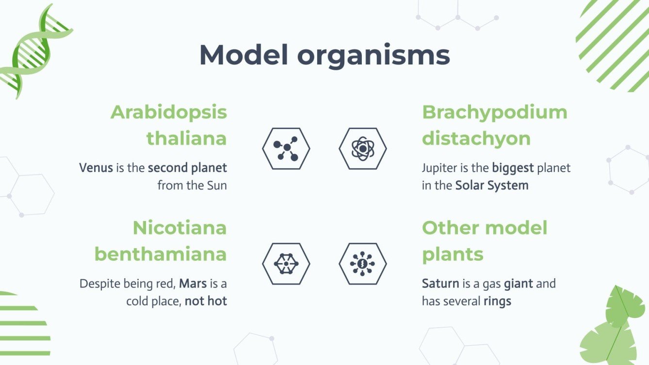 Plant Genetics Master's Degree Presentation