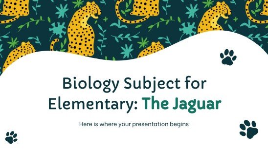 Biology Subject for Elementary: The Jaguar Presentation