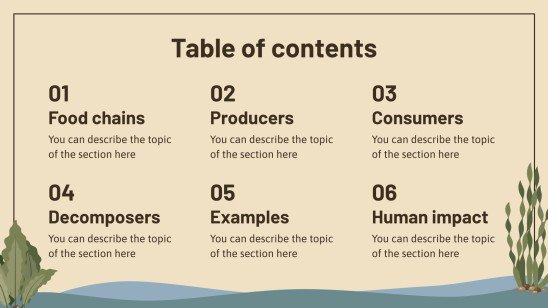 Biology Subject for High School: Food Chains Presentation