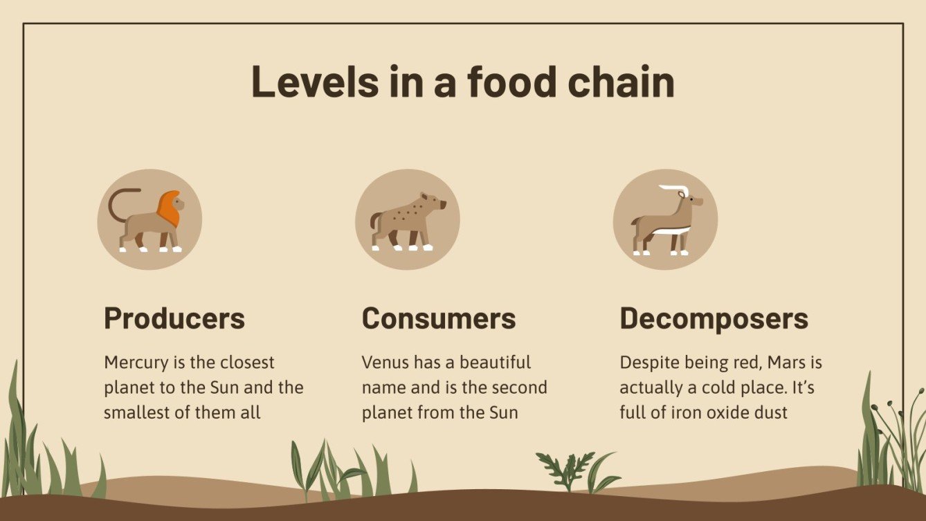 Biology Subject for High School: Food Chains Presentation