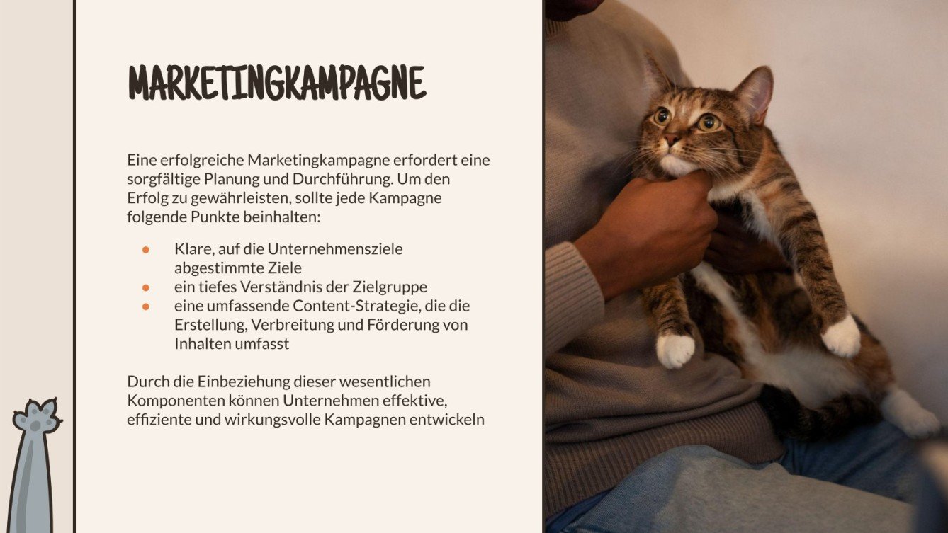 Cat Foster Campaign Presentation