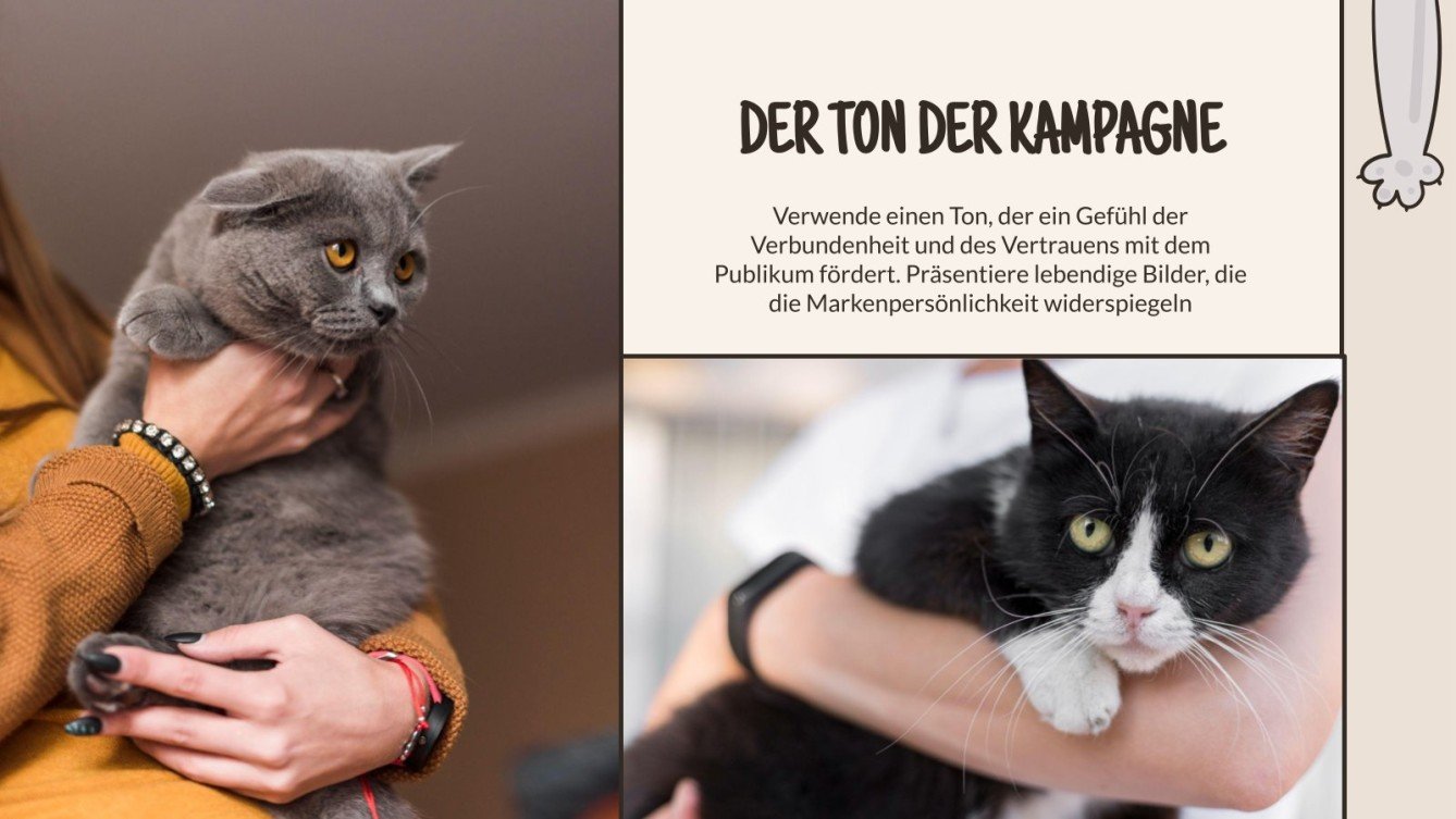 Cat Foster Campaign Presentation