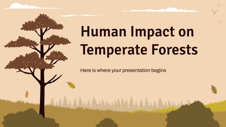 Human Impact on Temperate Forests Presentation