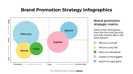 Brand Promotion Strategy Infographics Presentation