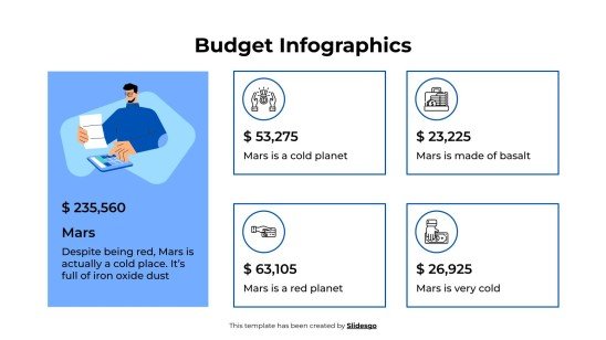 Budget Infographics Template