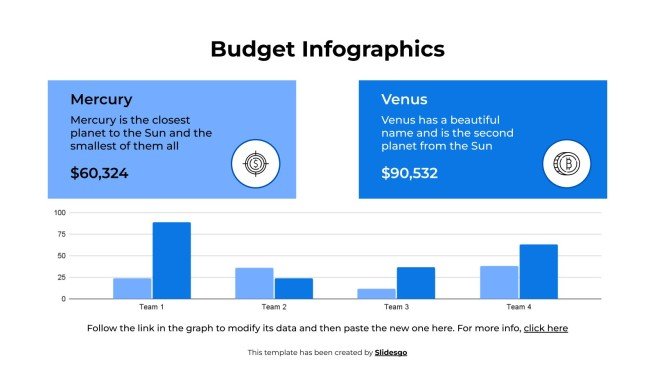 Budget Infographics Template
