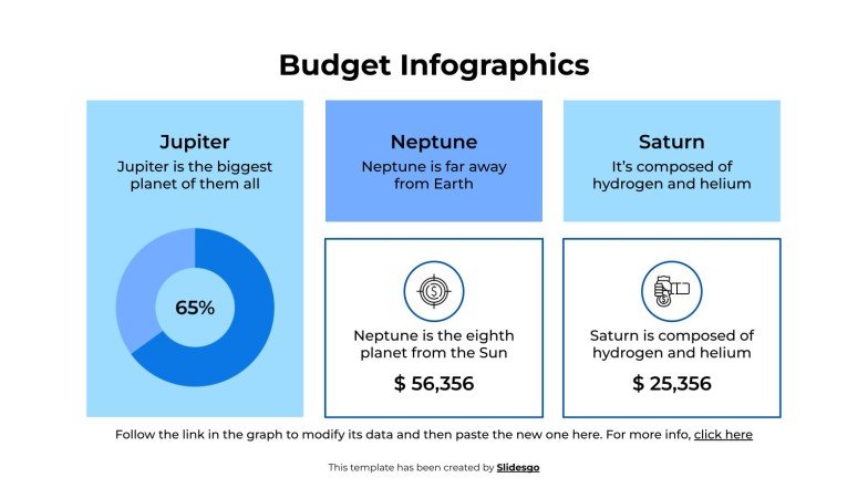 Budget Infographics Template