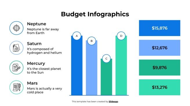 Budget Infographics Template
