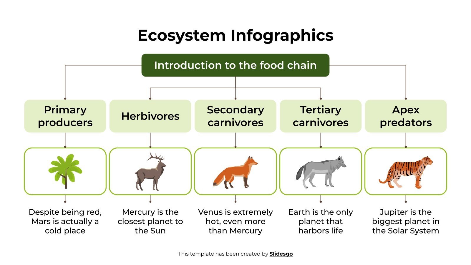 Ecosystem Infographics Presentation