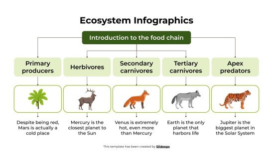 Ecosystem Infographics Presentation