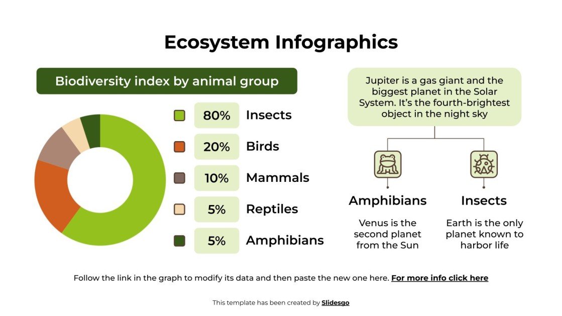 Ecosystem Infographics Presentation