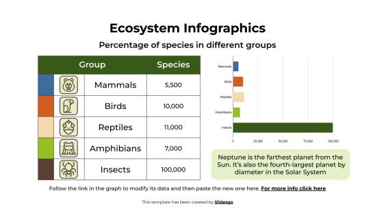 Ecosystem Infographics Presentation