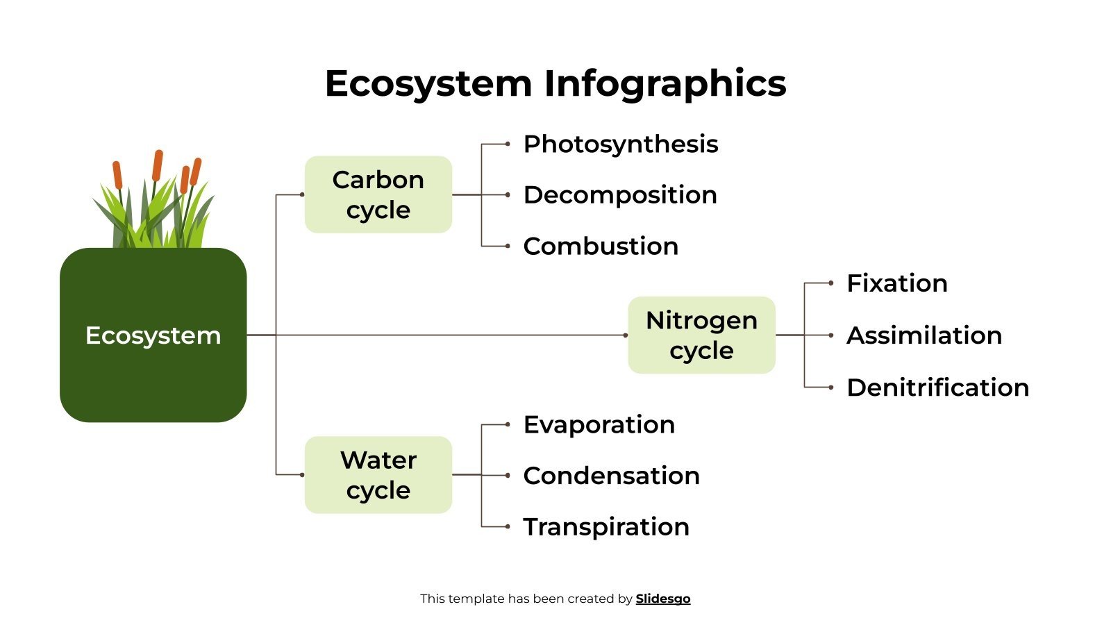 Ecosystem Infographics Presentation