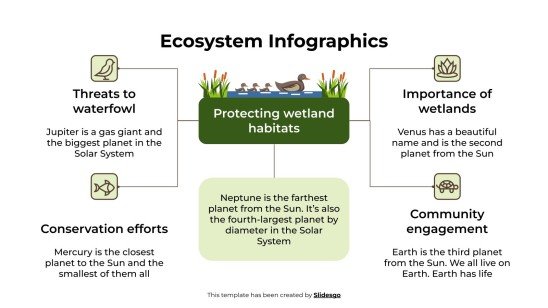 Ecosystem Infographics Presentation