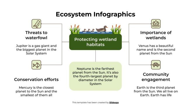 Ecosystem Infographics Presentation