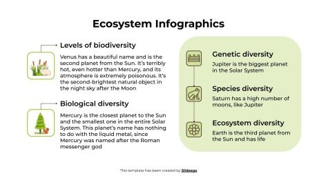 Ecosystem Infographics Presentation