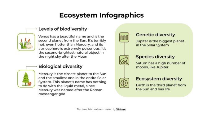 Ecosystem Infographics Presentation