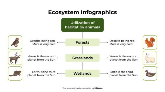Ecosystem Infographics Presentation