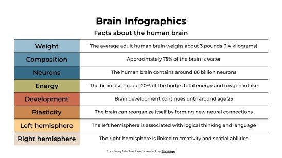 Brain Infographics Template