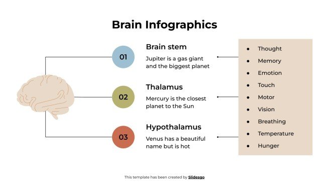 Brain Infographics Template