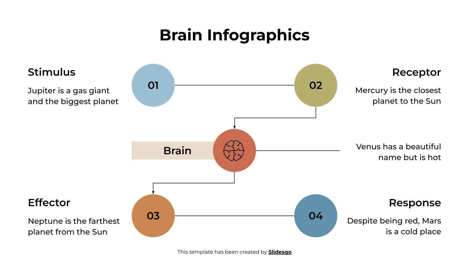Brain Infographics Template