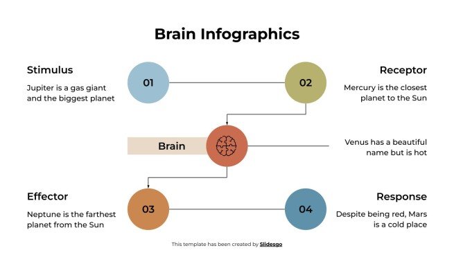 Brain Infographics Template