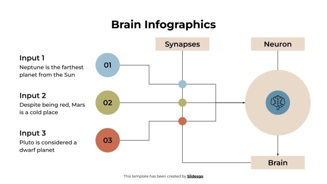 Brain Infographics Template