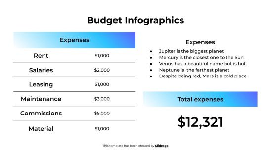 Budget Infographics Template