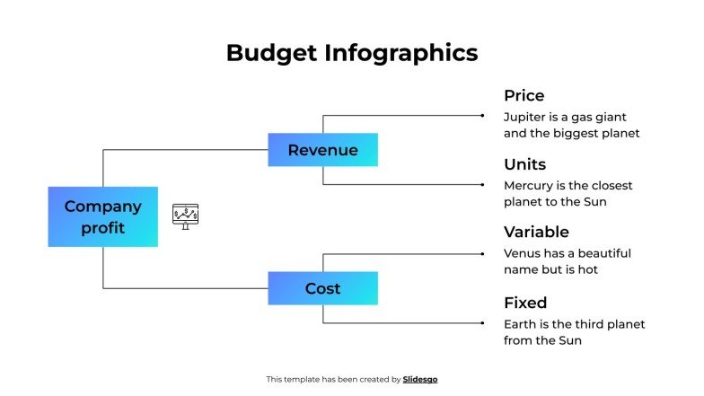 Budget Infographics Template