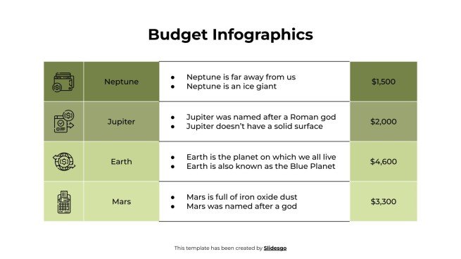 Budget Infographics Template