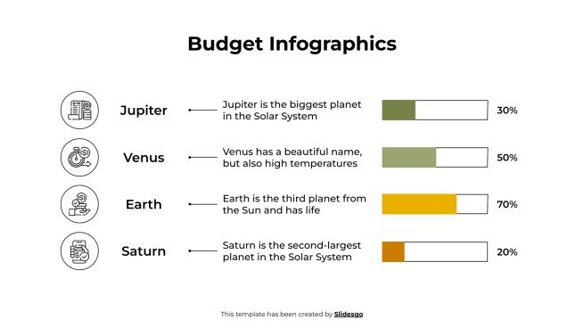 Budget Infographics Template