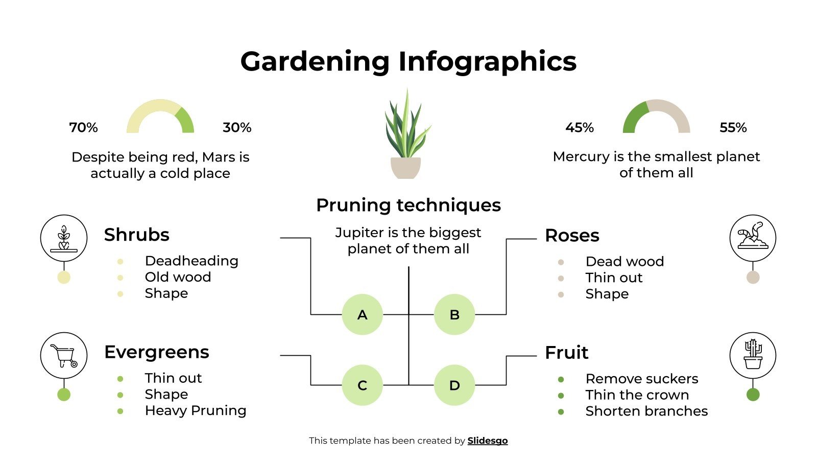 Gardening Infographics Template