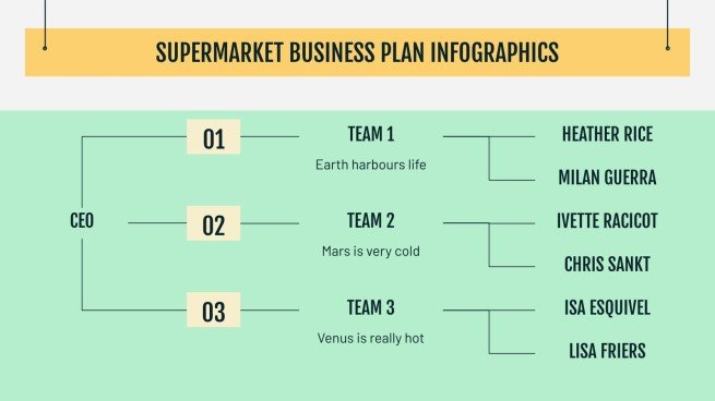 Supermarket Business Plan Infographics Template