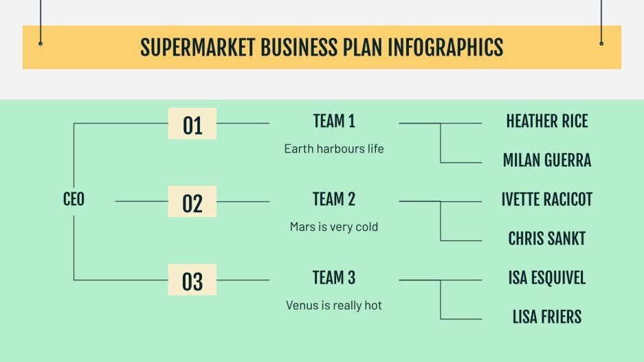 Supermarket Business Plan Infographics Template